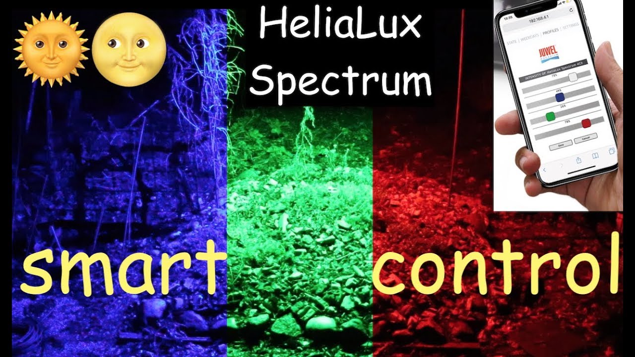 JUWEL HeliaLux Spectrum Smart Control | Unboxing Test & Setup 🐠 🦐#Juwel ...