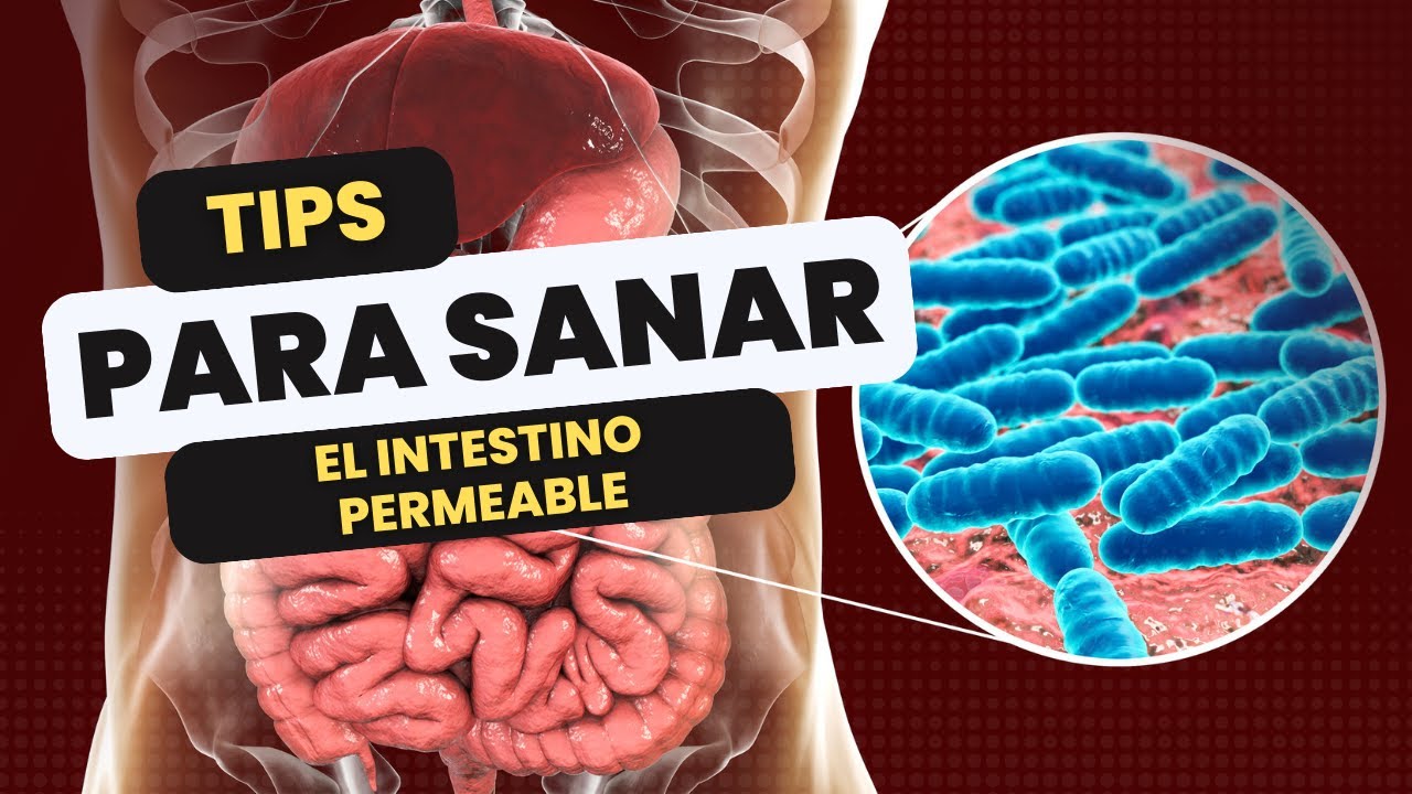 Tips Para Sanar El Intestino Permeable De Forma Definitiva - YouTube