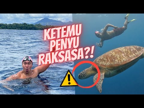 TIMBOI BERENANG DI LAUT BUNAKEN! KETEMU PENYU RAKSASA, GEDE BANGET😱