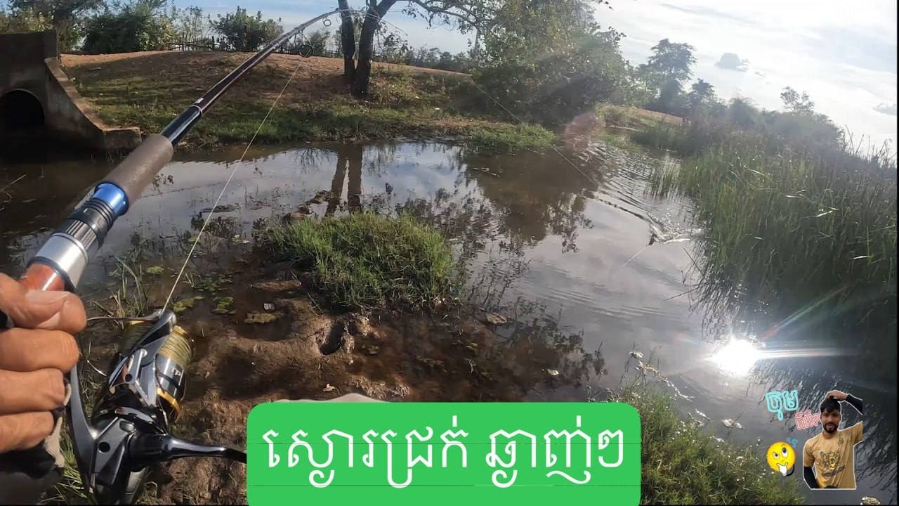 ទៅ តាឡាត់ 𝐀𝐭 𝐊𝐚𝐦𝐏𝐨𝐧𝐠 𝐒𝐩𝐮𝐞 𝐚𝐧𝐝 𝐒𝐨𝐮𝐫 𝐏𝐚𝐥𝐦 𝐉𝐮𝐢𝐜𝐞 𝐊𝐡𝐦𝐞𝐫 𝐀𝐠𝐚𝐢𝐧 - YouTube