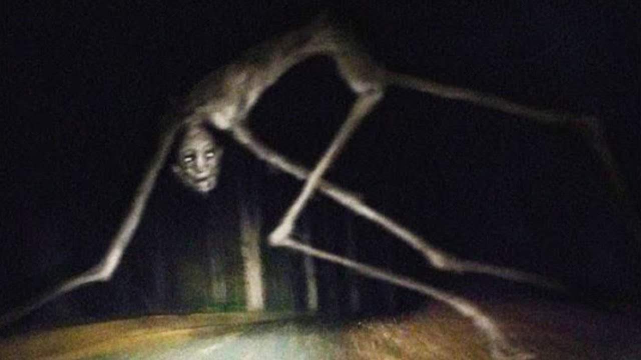 What is The Country Road Creature?? - YouTube