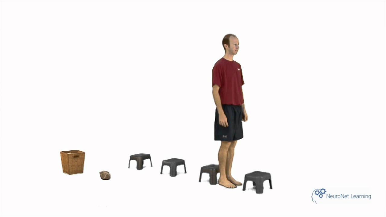 NeuroNet Early Learning Program - YouTube