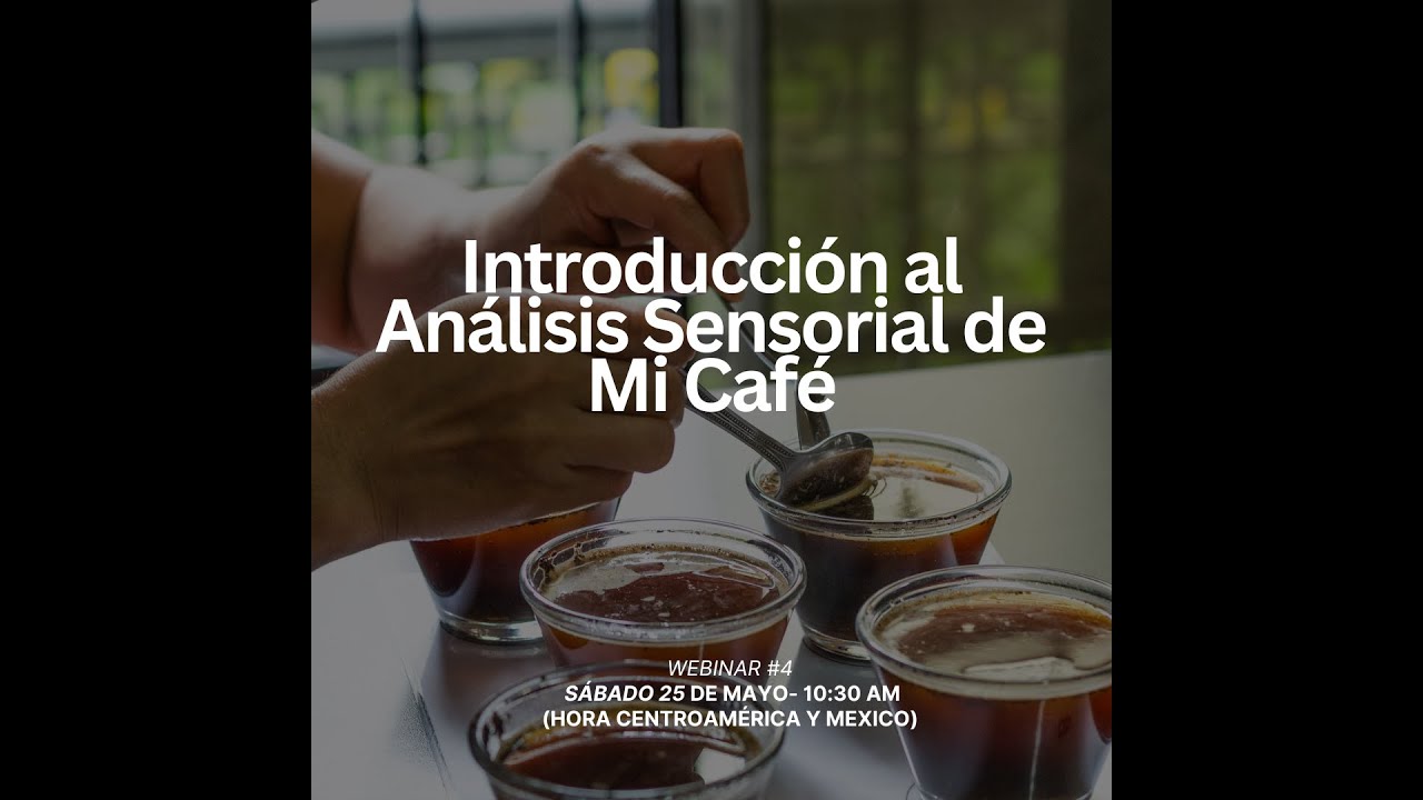 Introducción al Analisis Sensorial de Cafe - Latinas in Coffee - YouTube