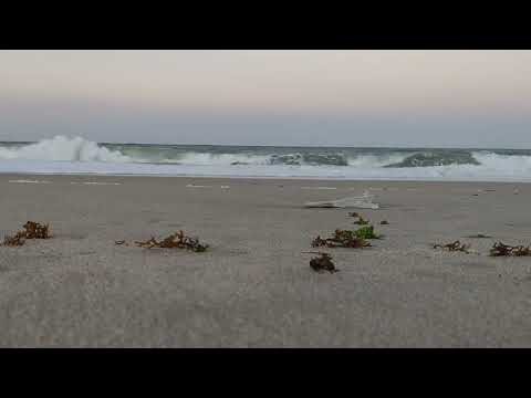 Satisfação § Lu Rocha