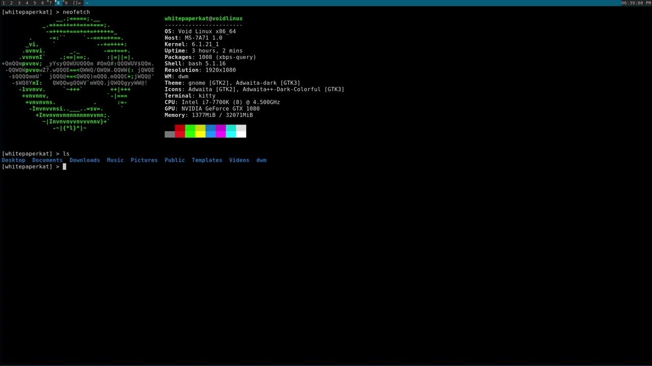 so im using dwm and void linux now apparently - YouTube