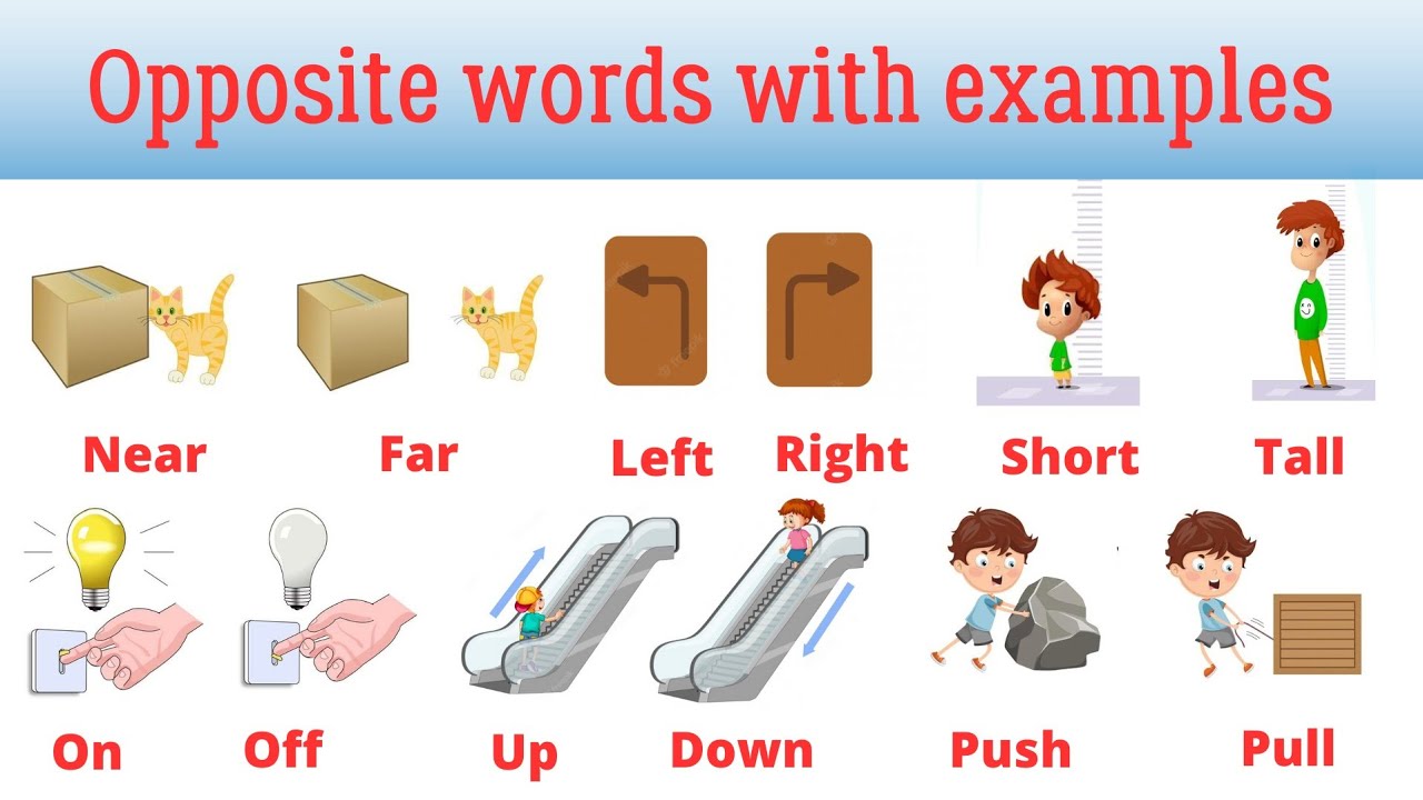 Opposite Words Learn And Practice With Fun Exercises opposition opposite-words-learn-and-practice-with-fun-exercises-opposition