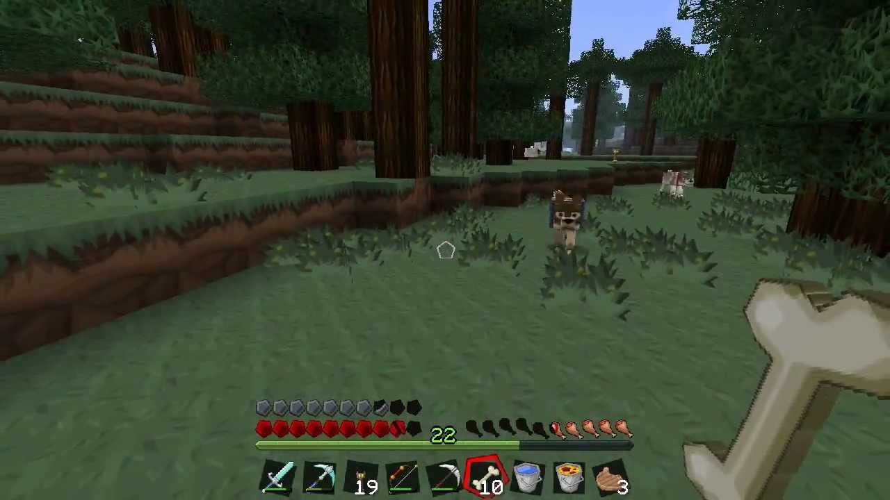 MINECRAFT LET'S PLAY: New Puppies! - Episode 25 - YouTube