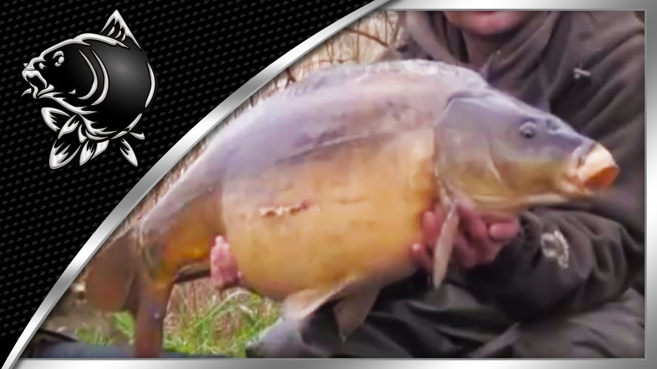 CARP FISHING VIDEOS NASH TV : RAW! ALAN AND TOM GO TO LINFORD LAKES ...
