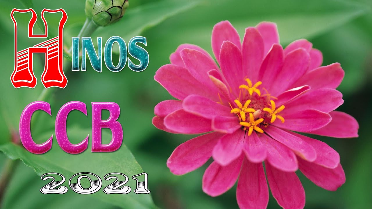 Hinos Ccb 2021!Congregação Cristã No Brasil Belas Canções Cantada CCB ...