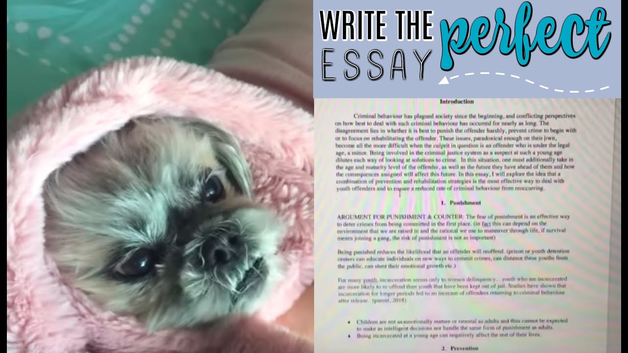 HOW TO WRITE A UNI ESSAY | 289 - YouTube