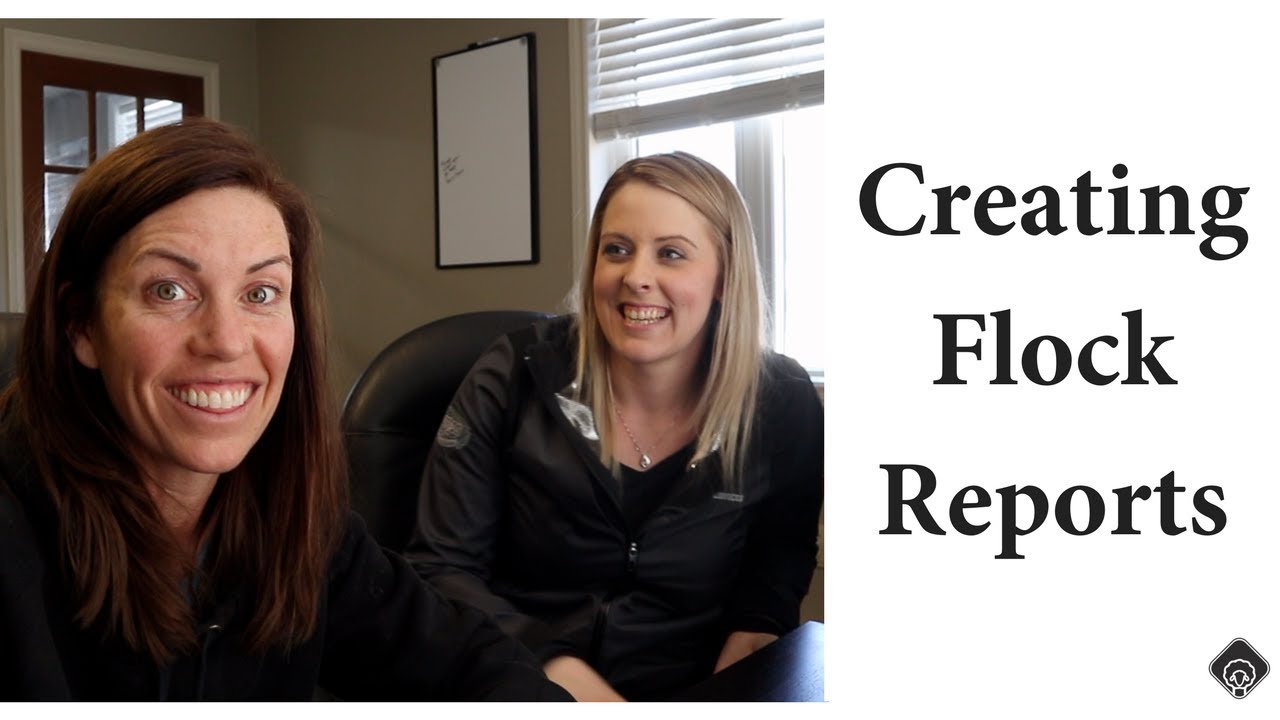 Creating Reports on the Gallagher Tsi (PART 3): Vlog 73 - YouTube