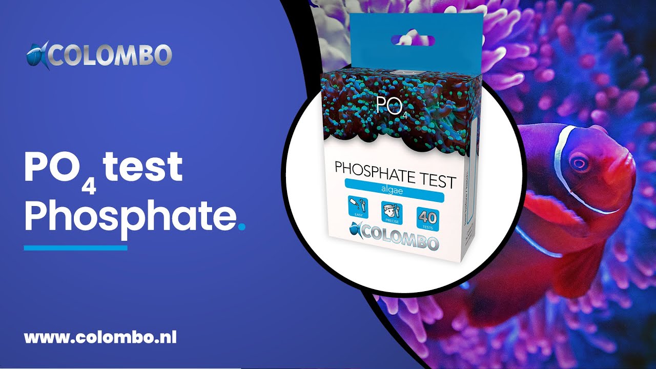 Colombo Marine Phosphate Test - YouTube
