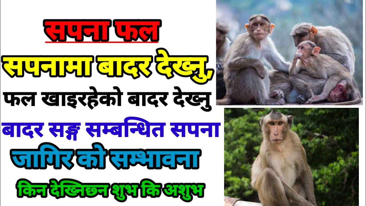 sapana ma badar dekhe ke hunchha l सपनामा बादर देख्नु l badarko sapana ...