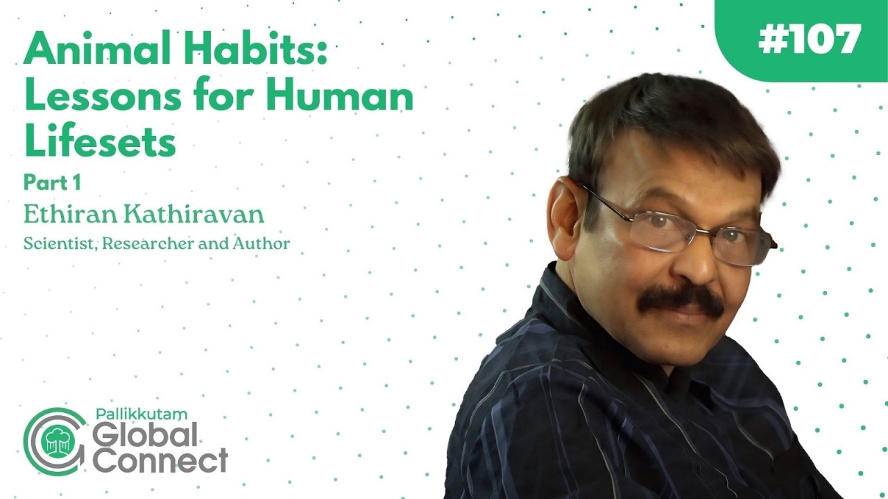 Animal Habits: Lessons for Human Life-Set - YouTube