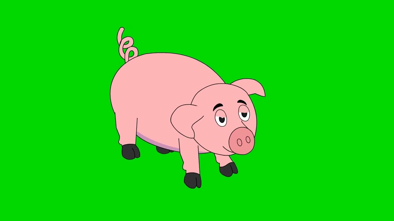 Pig Green Screen | Green Sreen Pig | Green BackGround Screen - YouTube