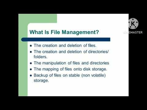 What is File Management? Example of best file management Systems and ...
