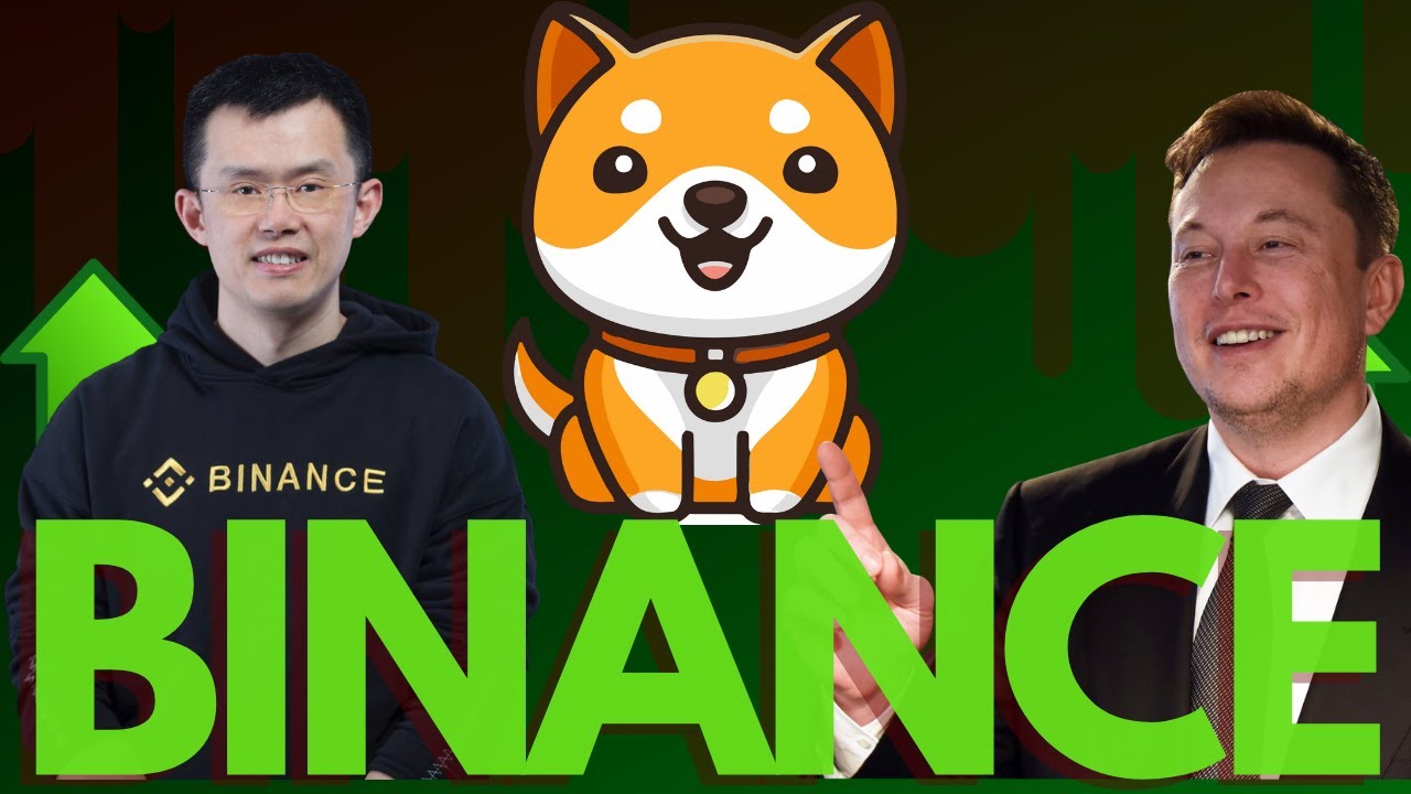 BABY DOGE BINANCE PODE LISTAR SIM - YouTube