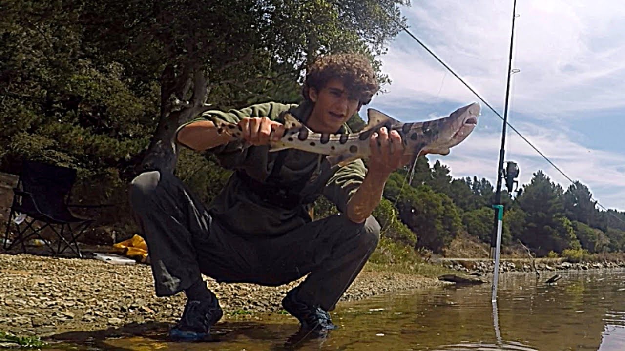 Slough Fishing for Leopard Sharks - YouTube