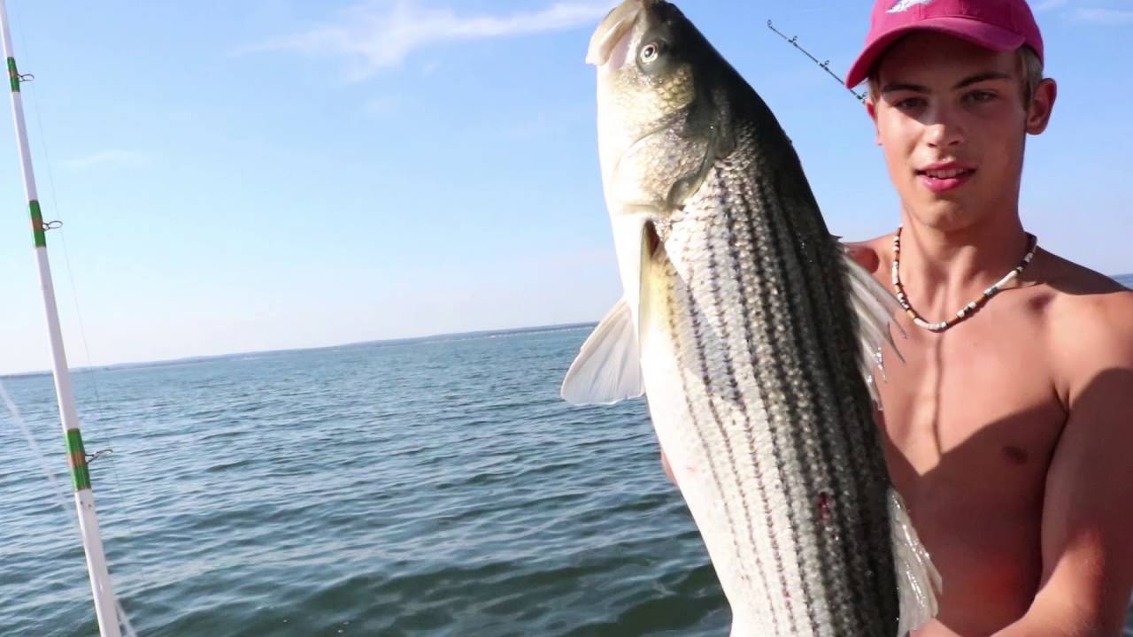 WICC Greatest Bluefish Tournament on Earth 2016 | Highlights - YouTube