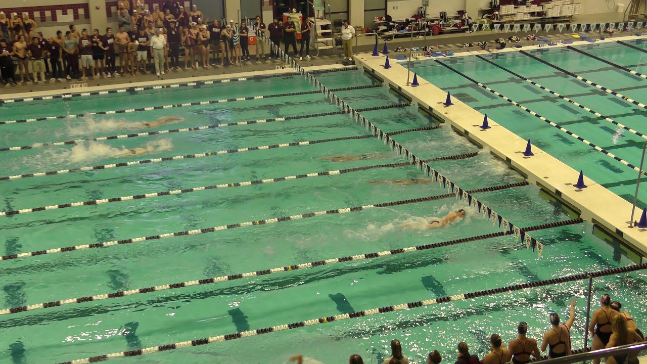 2019 Ohio State Dual Meet Men's 400 Free Relay - YouTube