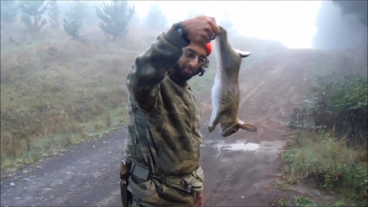NSW State Forest Rabbit and Fox Hunt - YouTube