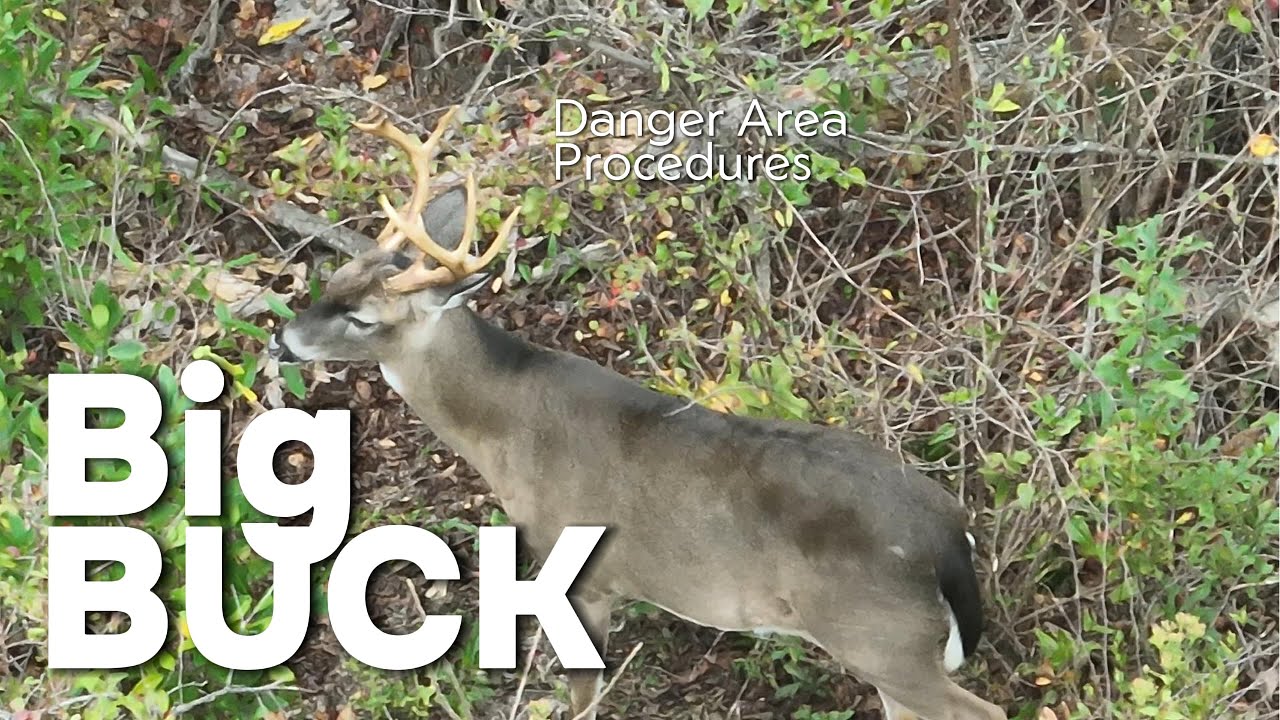 Big Alabama Buck October Rut | Is this rut activity? - YouTube