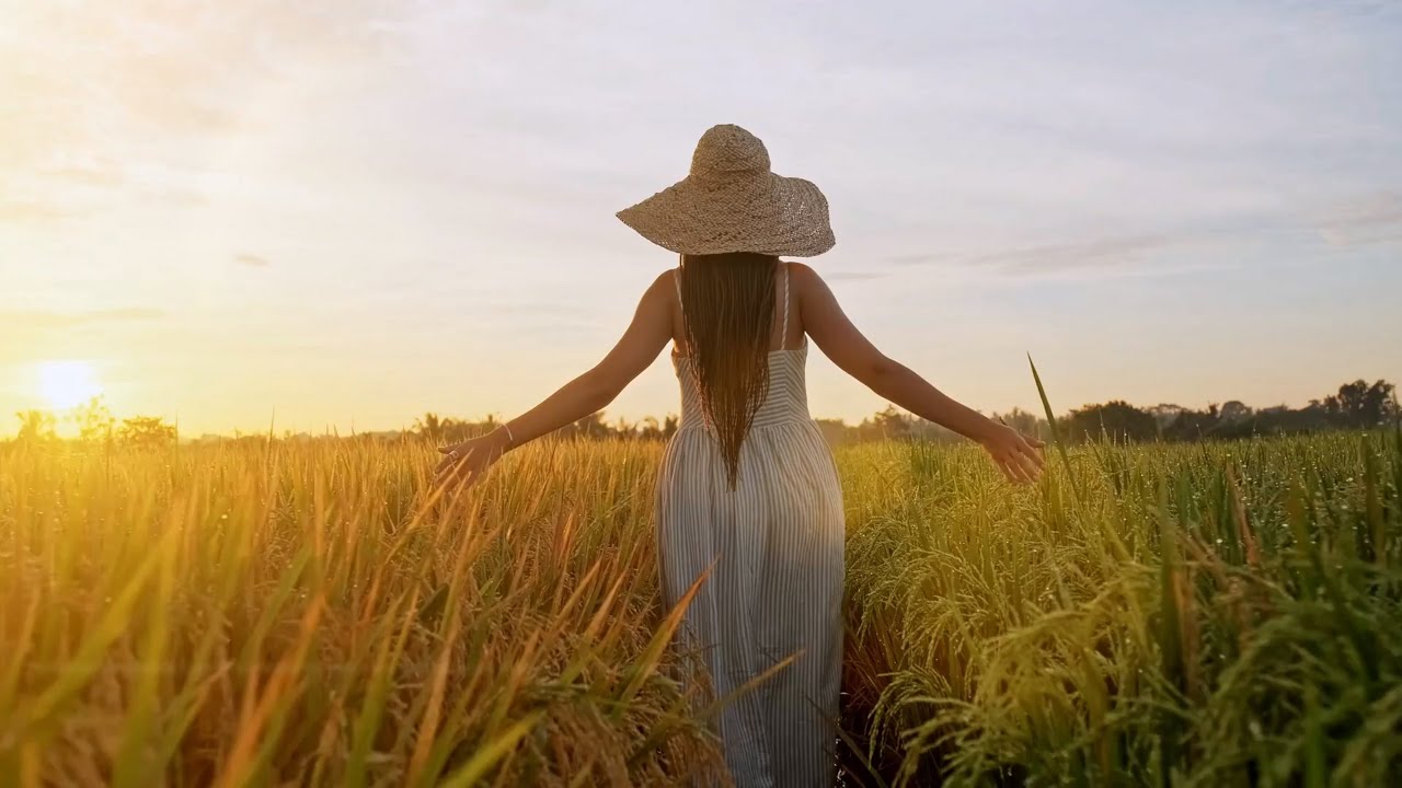 160 bpm - F# - Want it So Bad (Sanna Hartfield Acapella) PREVIEW - YouTube