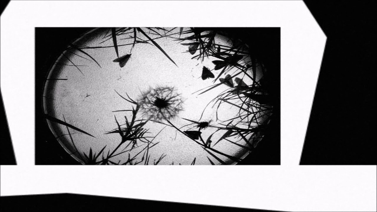 Volker Schäfer & Michael Rüber - Señorita Maribella - YouTube