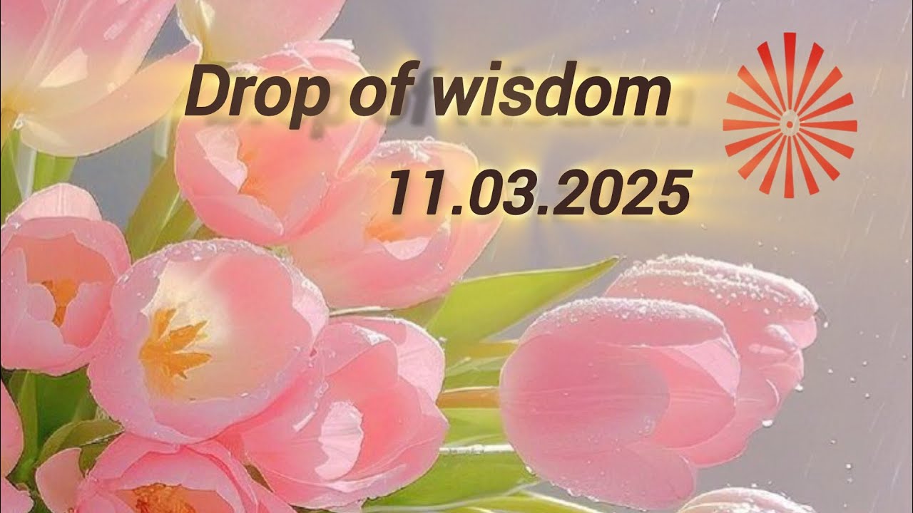 11.03.2025 | 💧Drop of wisdom 💧| Lighthouse Batticaola - YouTube