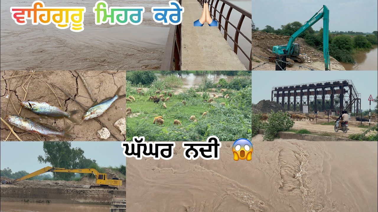 Dekho Rajasthan Nehar(Indra-Gandhi)🏞️ River De Thlo di Tappdi GhaGhar ...