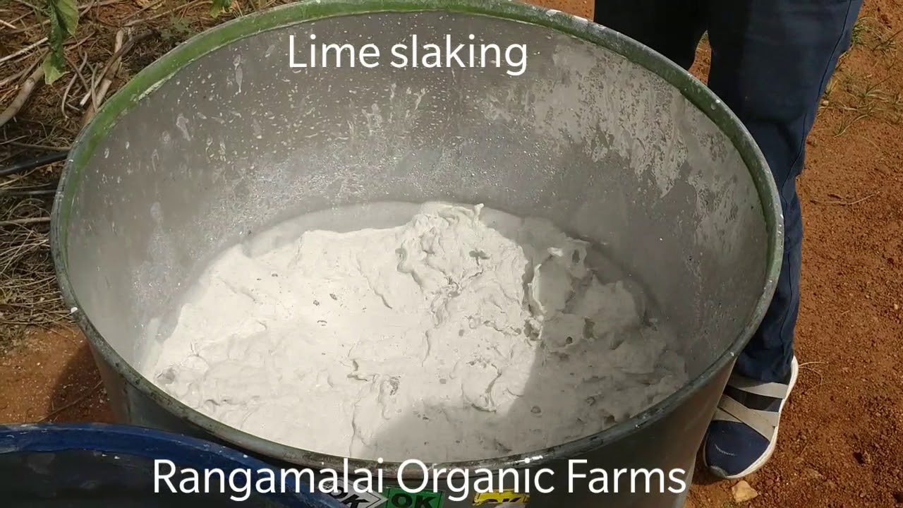 ROF LEARN FARMING: Lime slacking - YouTube