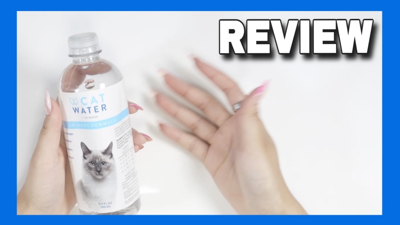 CATWATER by VETWATER | ph-Balanced and Mineral-Free Cat Water - YouTube