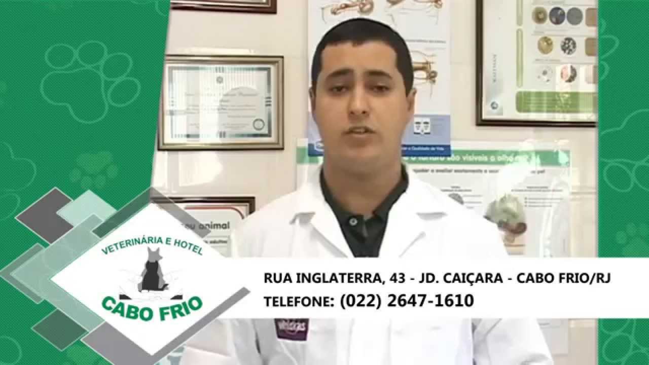 TOSSE DOS CANIS - DICAS DO DR. BRUNO PINHO - YouTube