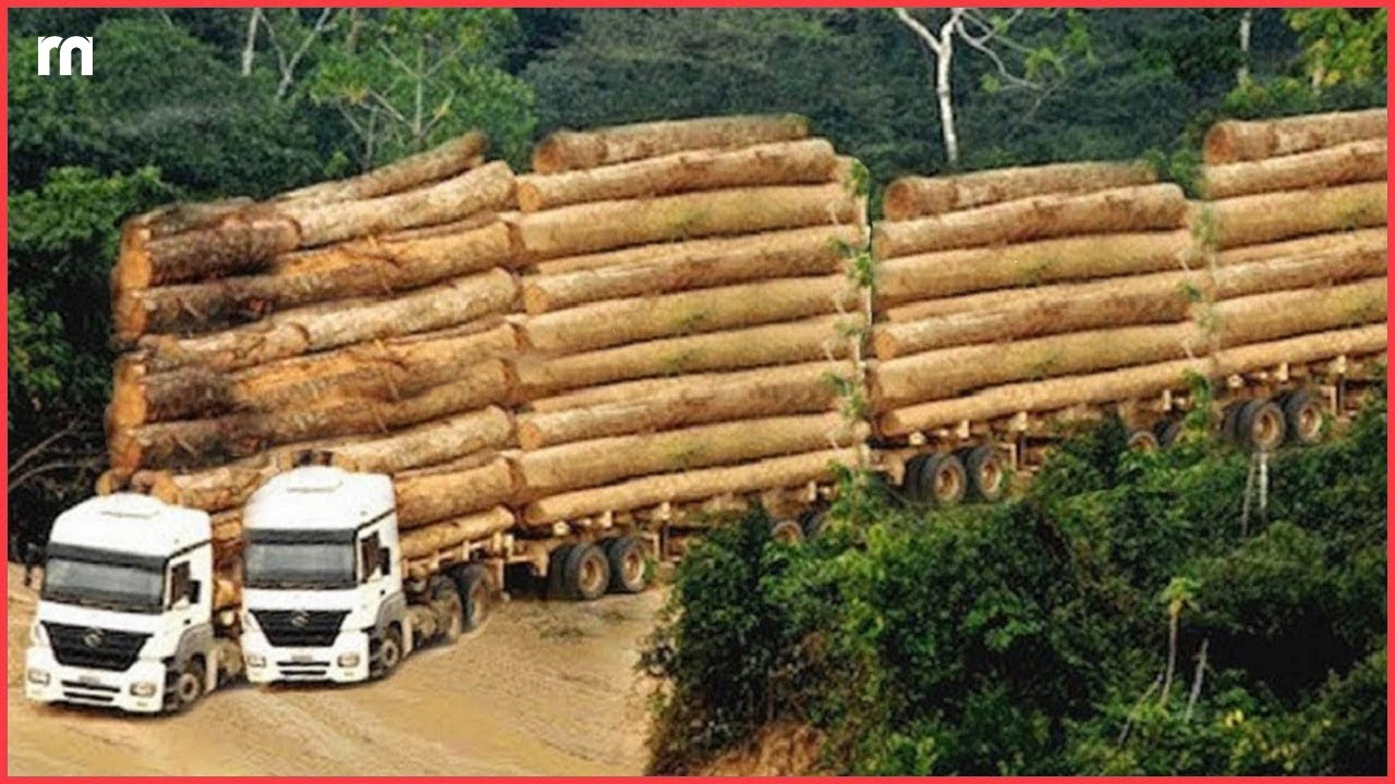 7 World Amazing Wood Truck Operator Skills - Fastest Wood Truck ...