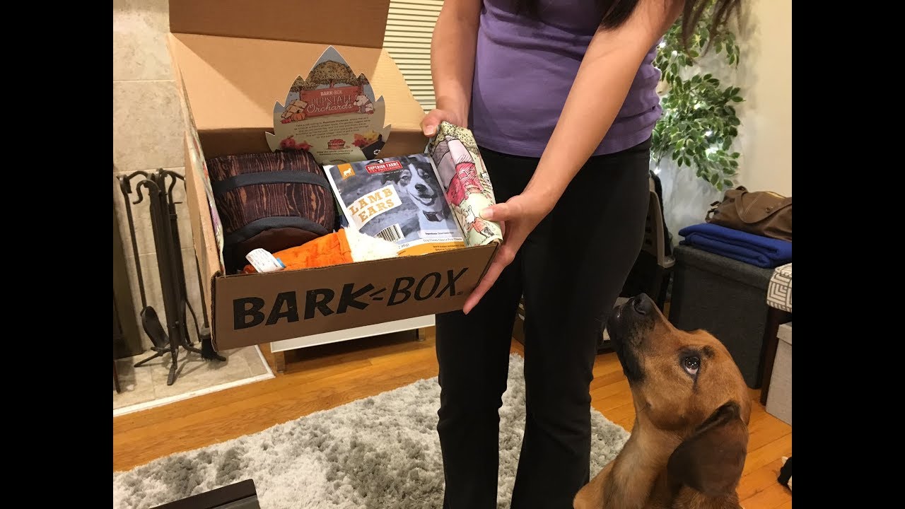 BarkBox Unboxing & Review - November 2017 for Medium Dogs - YouTube