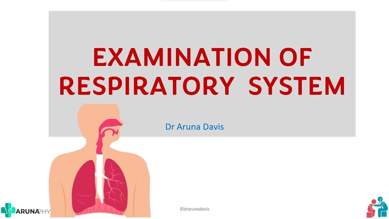 Examination Of Respiratory System| Physiology | First year MBBS - YouTube