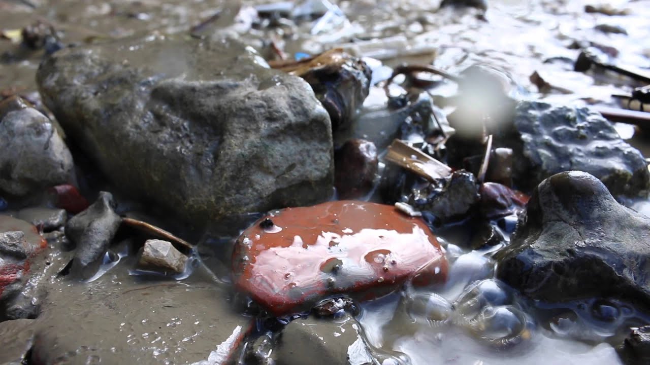 Plastic and Sewage Pollution in the River Thames - YouTube