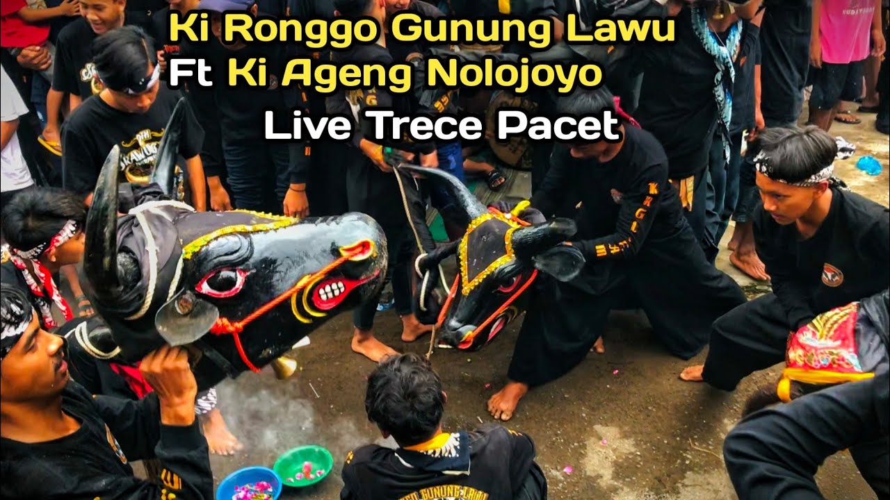 Full Banteng Ngamuk....!!! Seni Budaya Bantengan Ki Ronggo Gunung Lawu ...