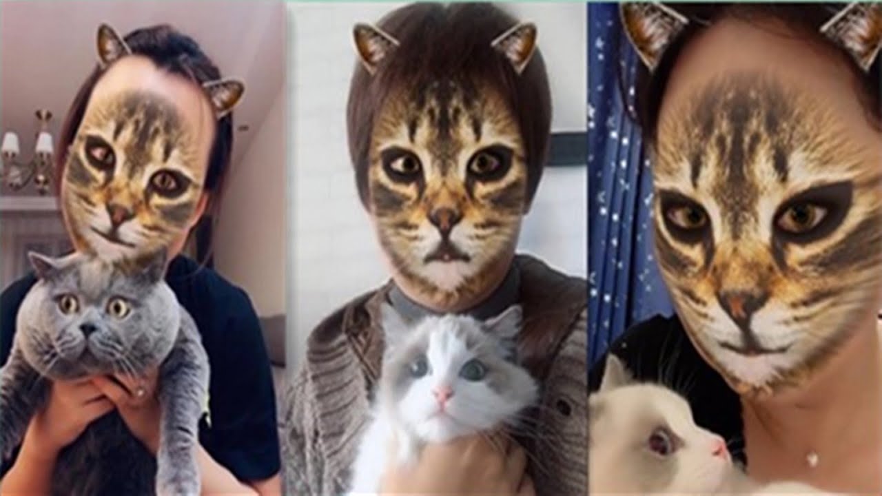 The cat face special effects - YouTube