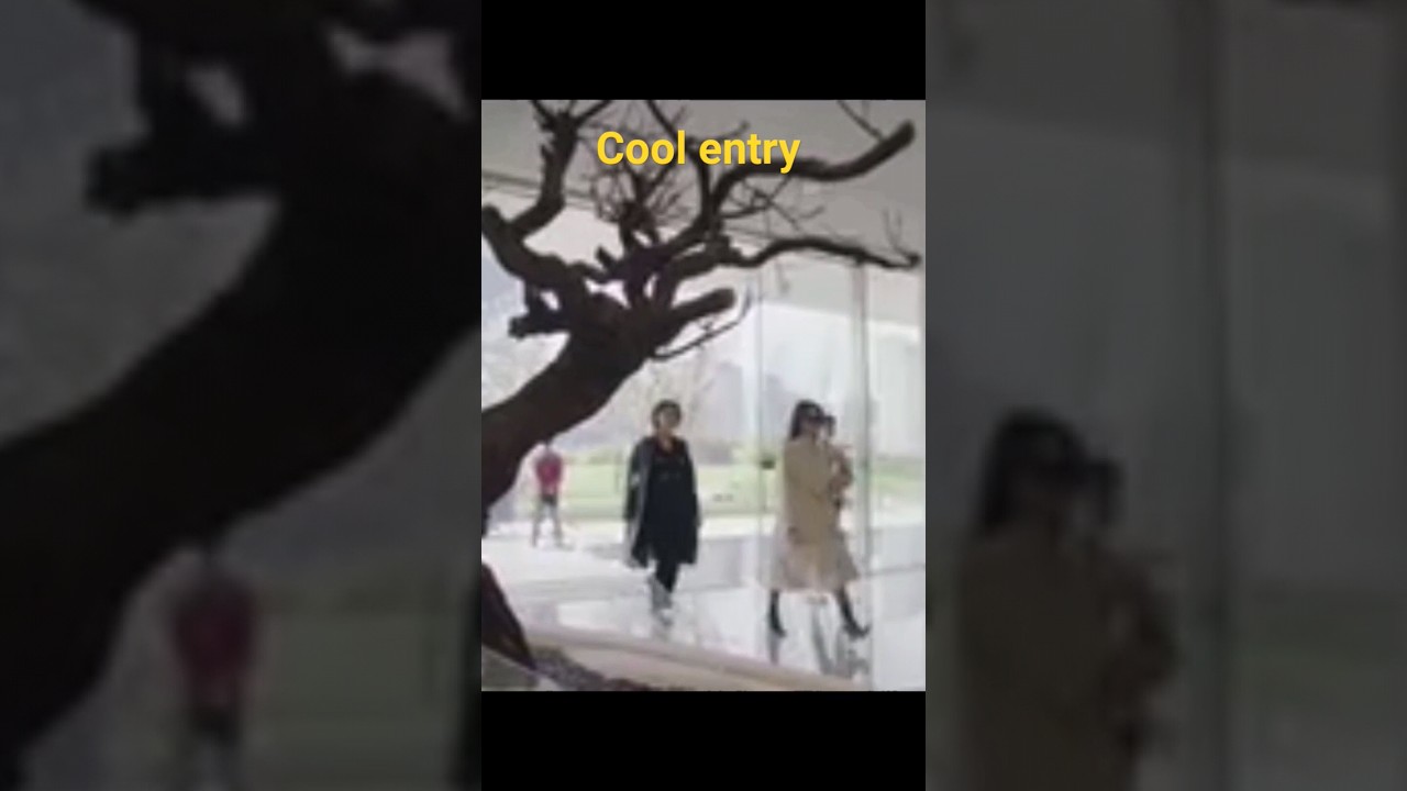cool entry - YouTube