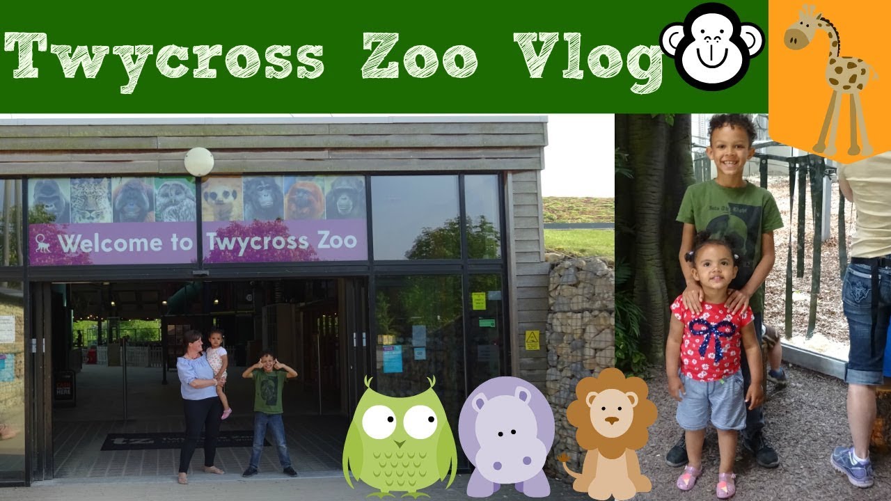 Twycross Zoo Review Vlog 2018 - YouTube