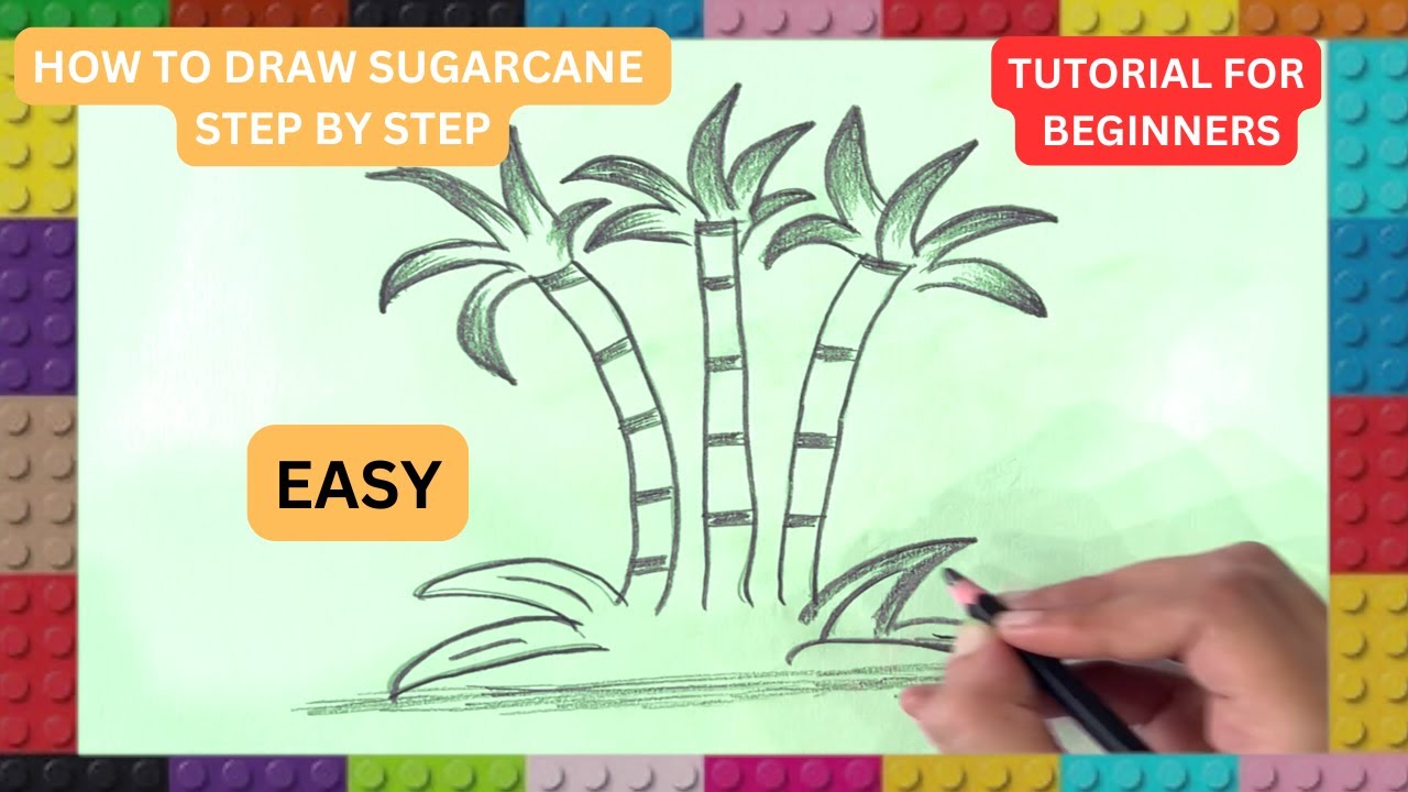 How to draw Sugarcane drawing || Ganna drawing kaise banate hain ...