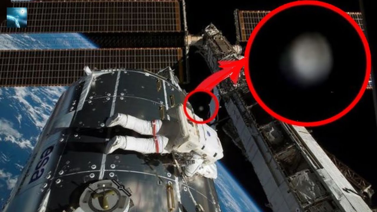 NASA Unknown Object Does NASA Use Whale nasa-unknown-object-does-nasa-use-whale