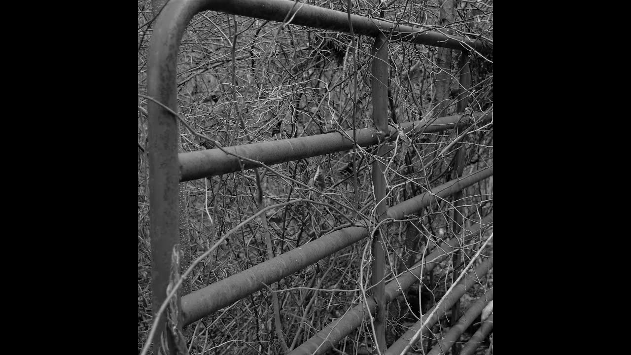 Run Down YouTube run-down-youtube