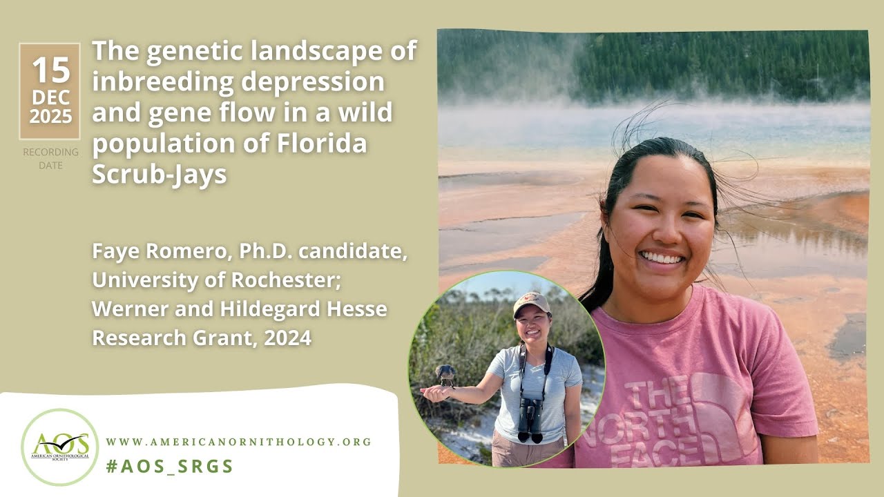 Genetic landscape of inbreeding depression and gene flow in a wild ...