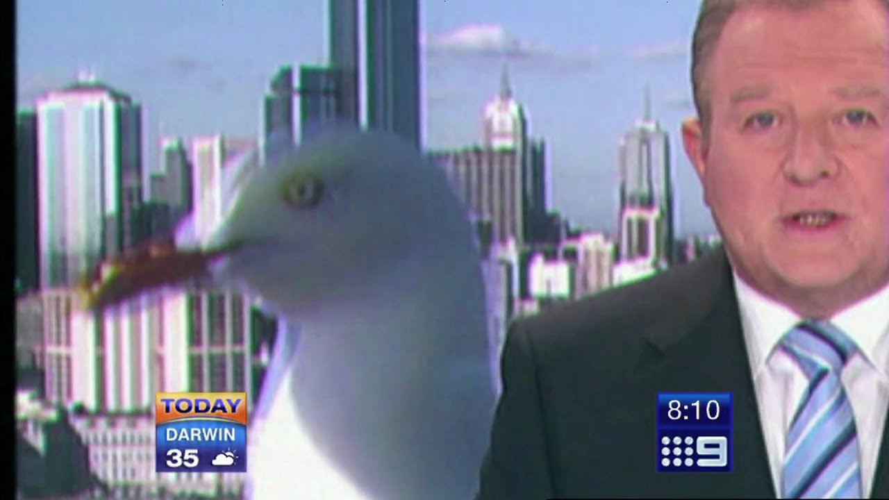 Peter Hitchener's Instagram, Twitter & Facebook on IDCrawl