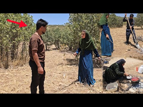 Displaced in Amir Forest with the Family: Husband Returns to Leila