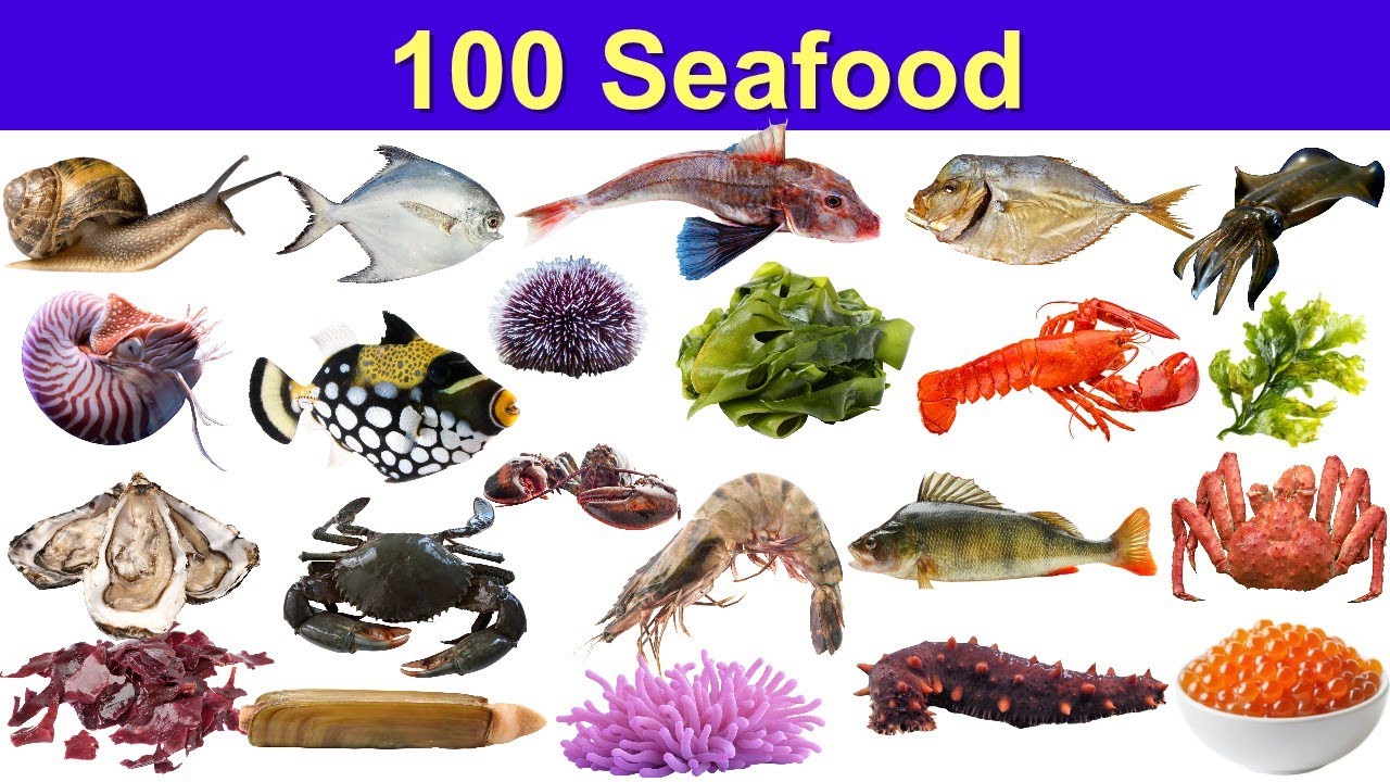 100 Seafood Names | Seafood Names From Fish To Seaweeds For Everyone ...