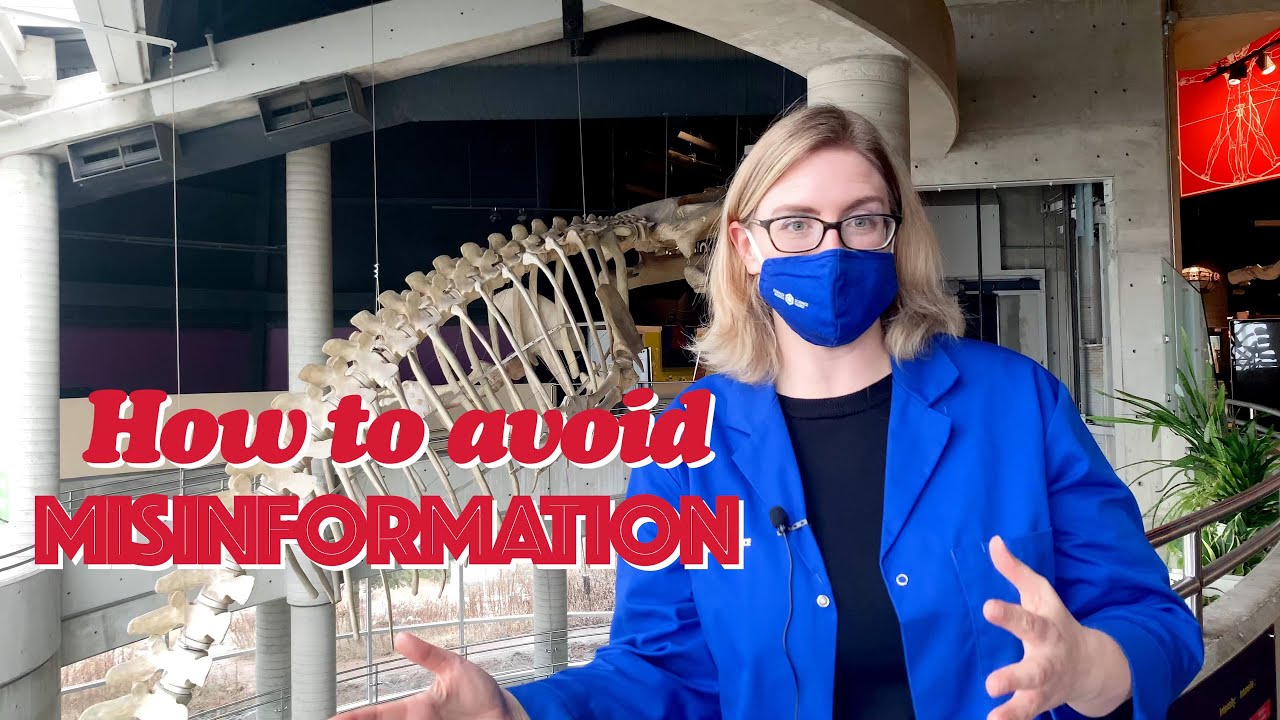 How to avoid MISINFORMATION 🙅‍♀️ - YouTube