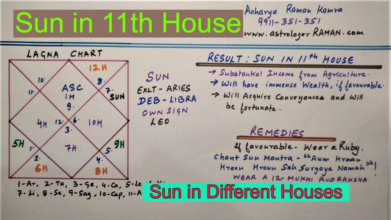 Sun in 11th House l Famous Astrologers in Delhi NCR, India l sun in ...